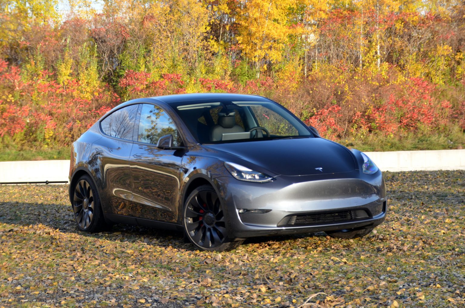 Eleganter Tesla Model Y Performance 2022 Eine Ikone Der Elektromobilitatfeed